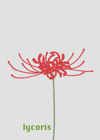 Lycoris flower – ธีม LINE | LINE STORE