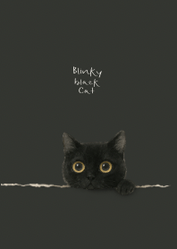 Blinky Black Cat (Black) – LINE theme | LINE STORE