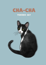 chacha cat / sea blue - Tema LINE | LINE STORE