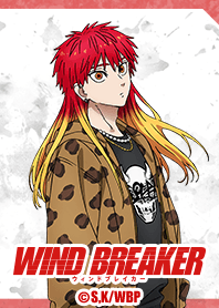 WIND BREAKER Vol.20 – LINE theme | LINE STORE