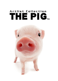 THE PIG – LINE主題 | LINE STORE
