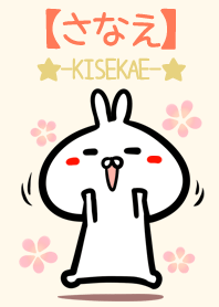 Sanae name usagi Theme – LINE 테마 | LINE STORE
